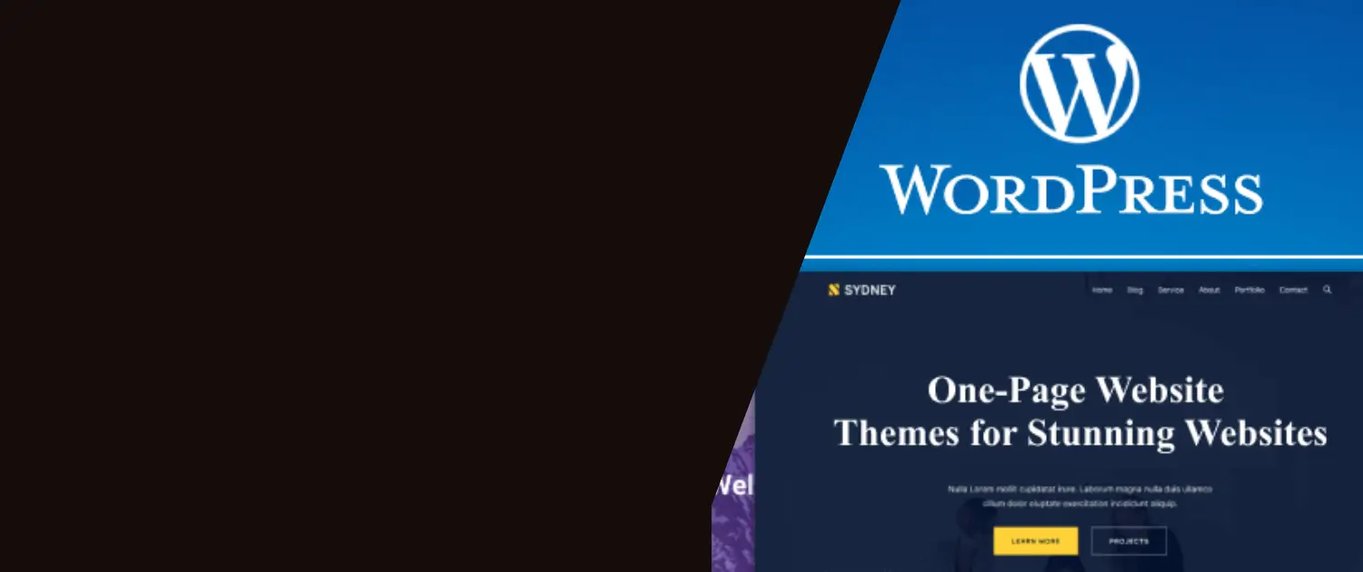 GoXwide: Trusted WordPress Development Company in Australia